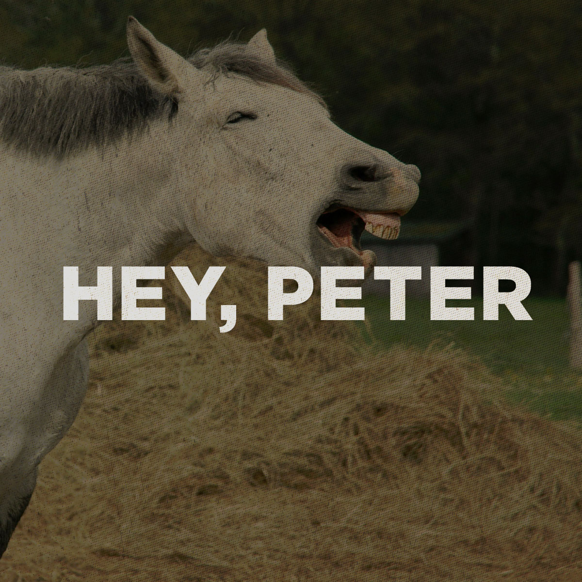 Where Oh Where Did Real Salesmanship Go? - AgileCat